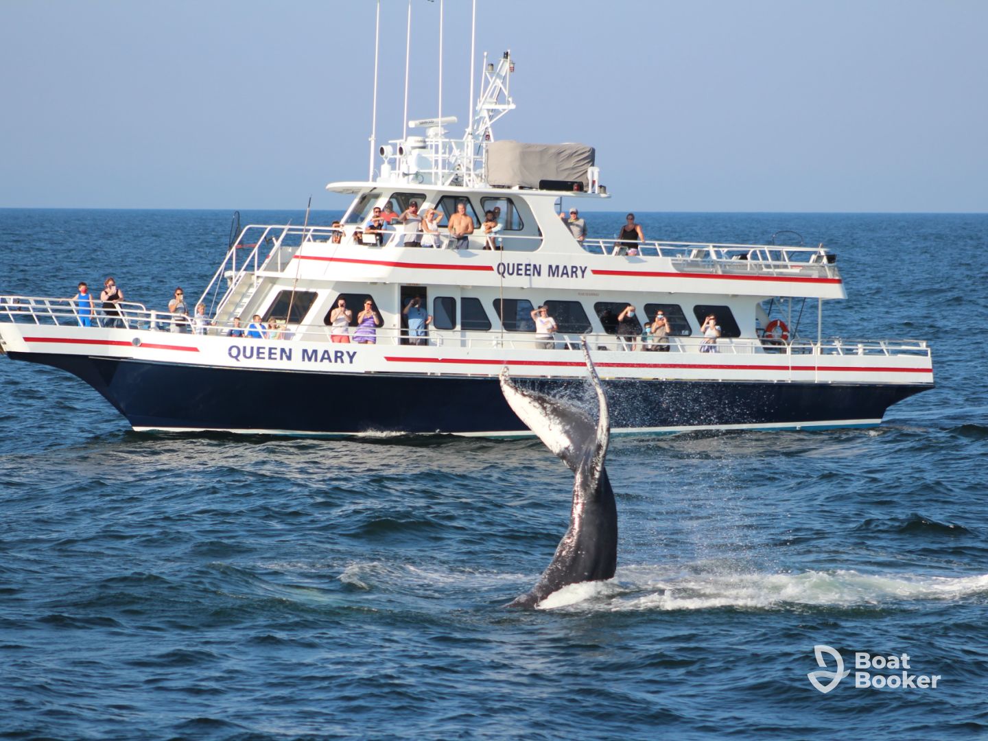 Queen Mary Open Boat & Charters - Updated 2025 Prices