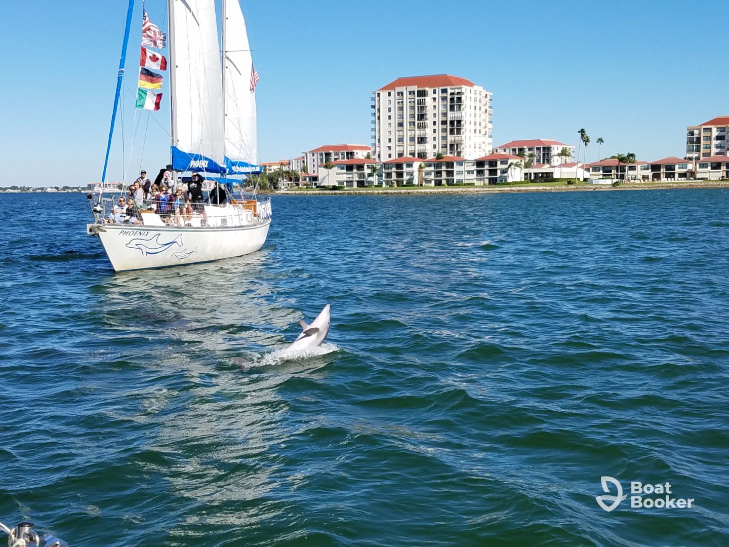 Dolphin Landings Charter Boats – Phoenix - Updated 2025 Prices