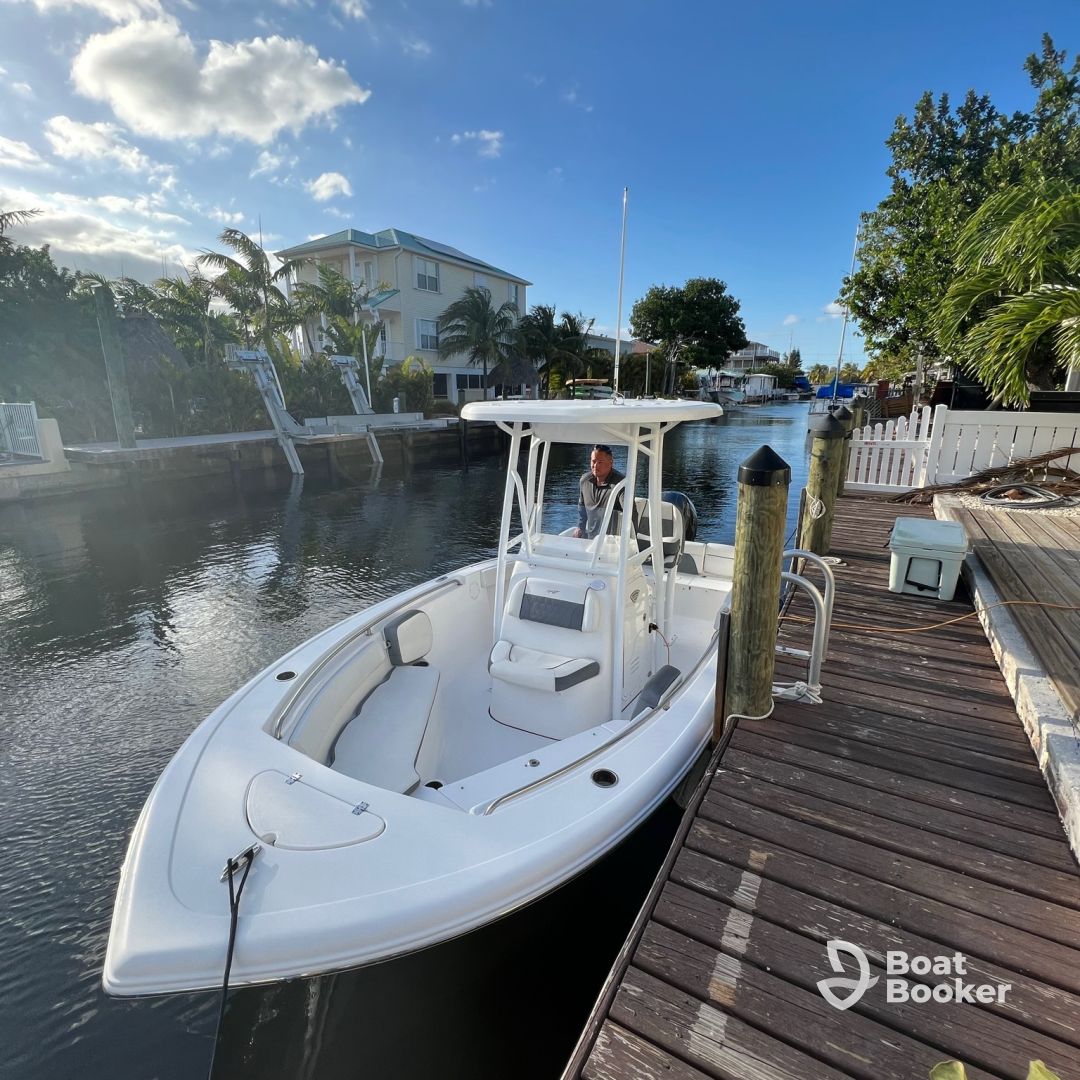 Dolphin Escape Charters - Updated 2025 Prices