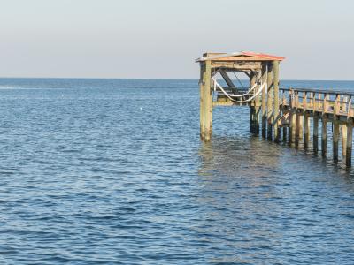 The 10 BEST Boat Tours in Trinity Bay from US $375 (Spring 2025)