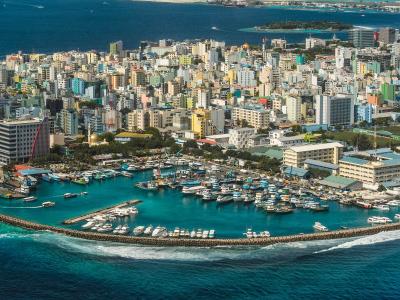 Misraab by Merenga - Updated 2025 Prices