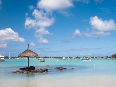 MUTT Tours – Dawn Catamaran - Updated 2025 Prices