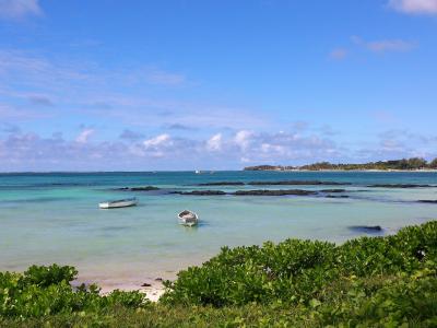 MUTT Tours – East Catamaran - Updated 2025 Prices