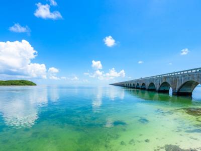Canal Boat Tours in Middle Keys- BoatBooker