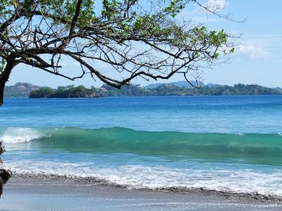 Ocean Life Costa Rica - Updated 2025 Prices